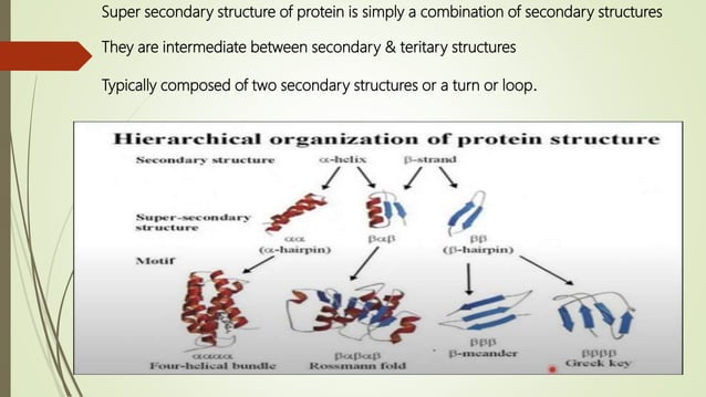 Super secondary structure of protein | PPTX