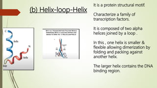 Super secondary structure of protein | PPTX