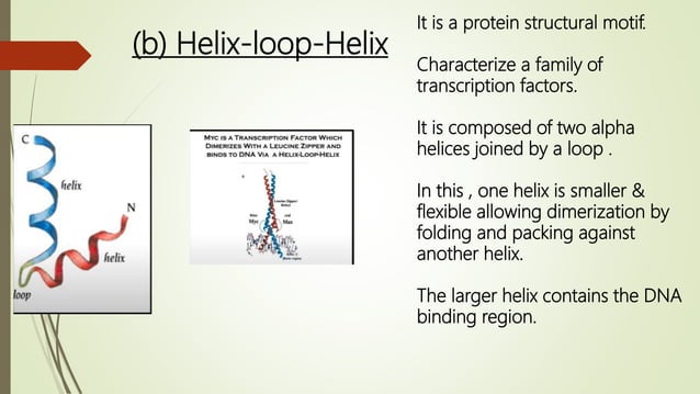 Super secondary structure of protein | PPT
