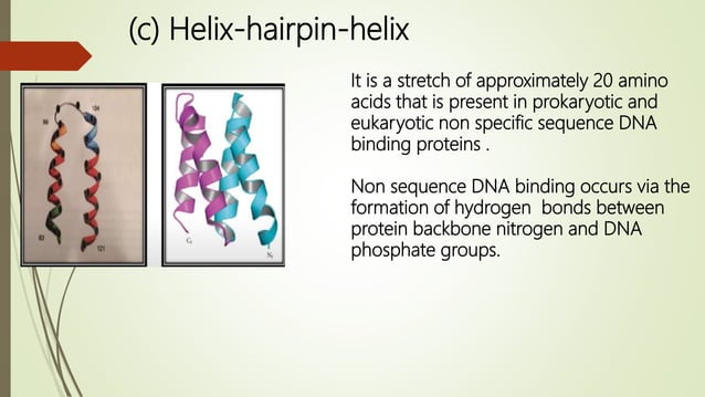 Super secondary structure of protein | PPTX