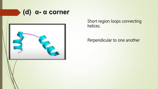 Super secondary structure of protein | PPTX