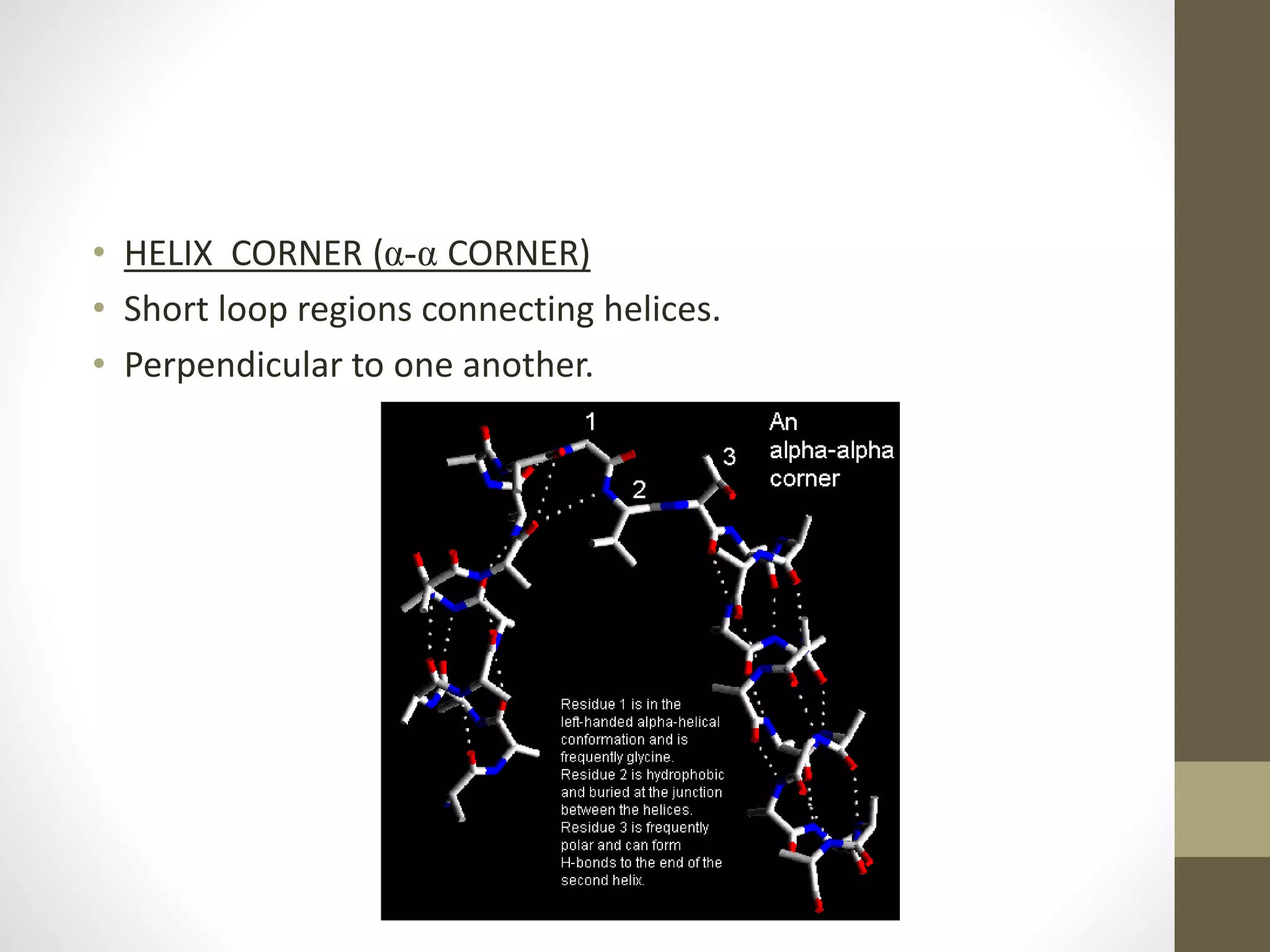 Supersecondary structure ppt | PPTX