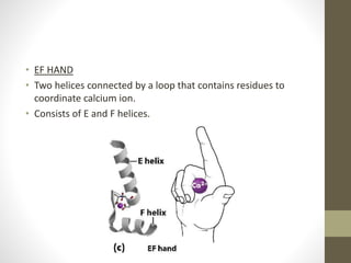 Supersecondary structure ppt | PPTX