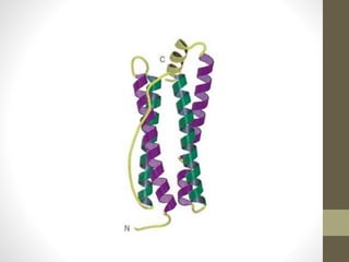 Supersecondary structure ppt | PPTX