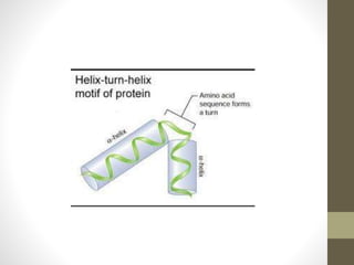 Supersecondary structure ppt | PPTX