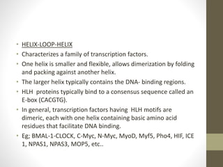 Supersecondary structure ppt | PPTX