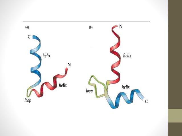 Supersecondary structure ppt | PPTX