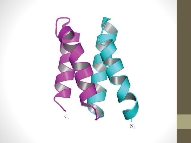 Supersecondary structure ppt | PPTX