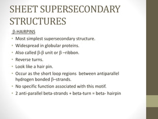 PPT Secondary Structure Of Proteins Sheets Supersecondary, 48% OFF