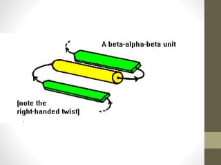 Beta Alpha Beta Motif