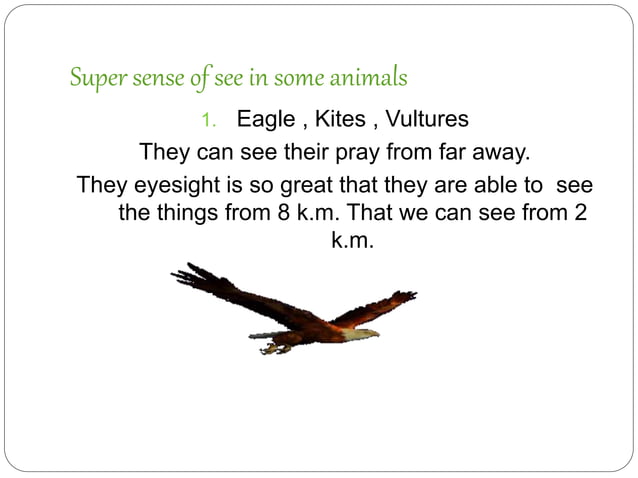 Super senses class 5 | PPTX