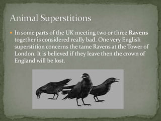 Superstitions | PPTX