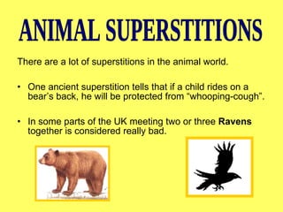 SUPERSTITIONS IN THE UK | PPT