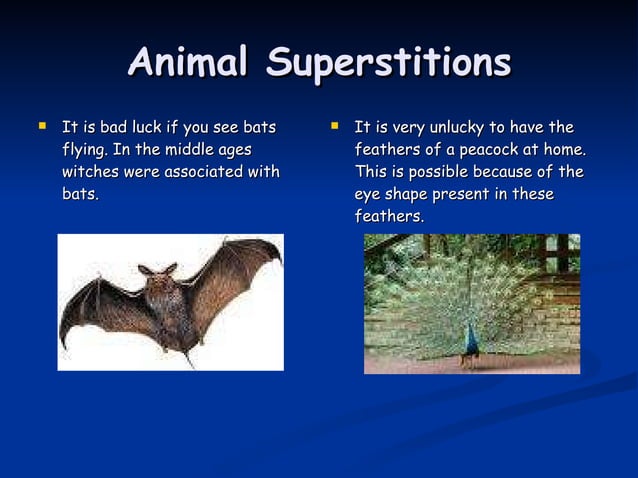 Superstitions in the UK