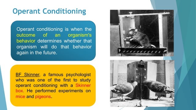 Superstitious Beliefs.pptx
