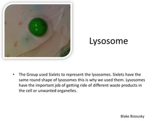 Super swagyolocrew cell | PPTX