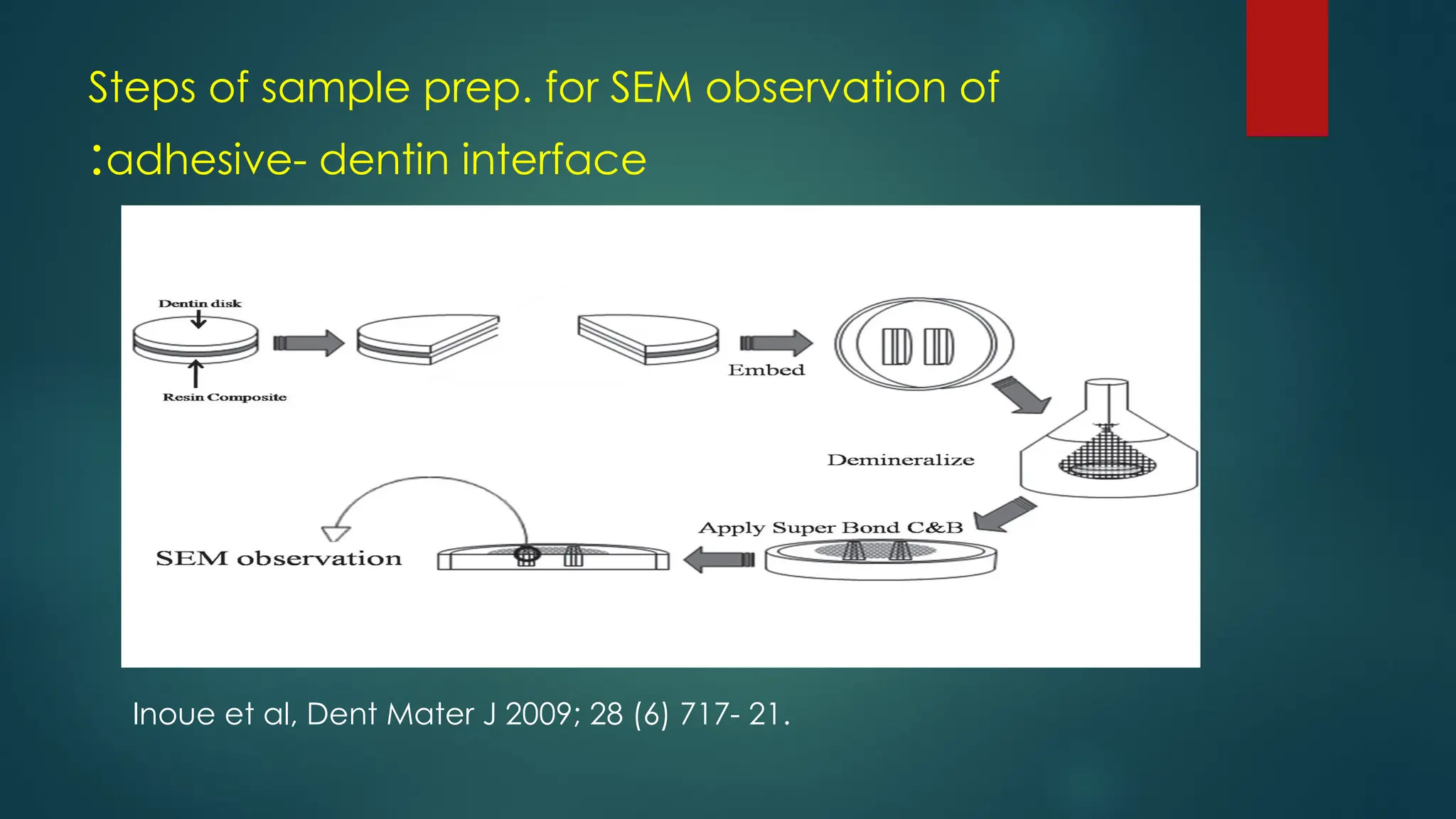 Super Tooth in Dentistry (Adhesion in Dentistry).ppt