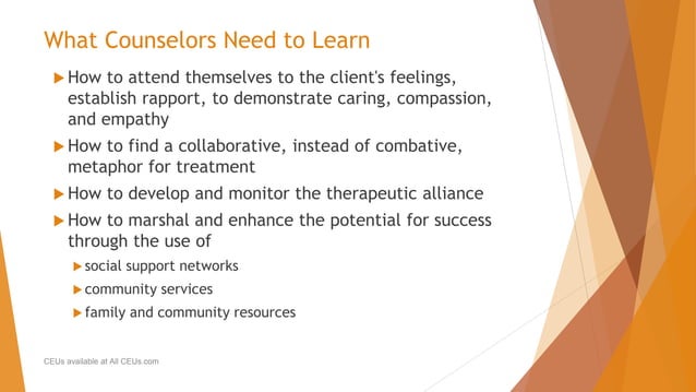 12 Things Counselors Need to Learn in Supervision | PPT