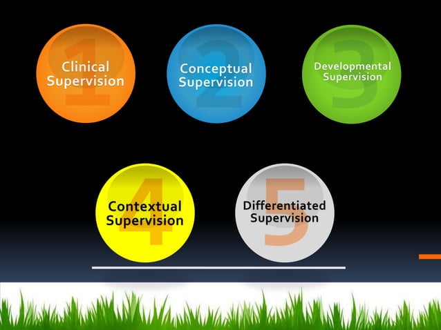 Supervisory models | PPTX | Professional School | Postgraduate Education