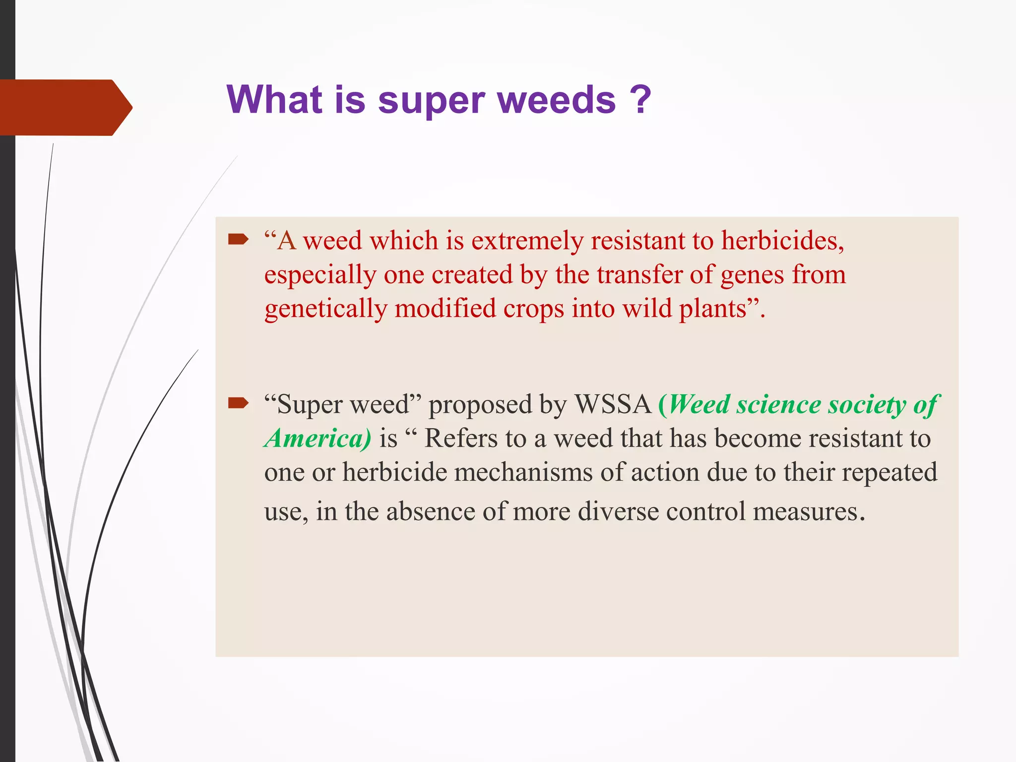 SUPER WEEDS POWER POINT PRESENTATION | PPTX