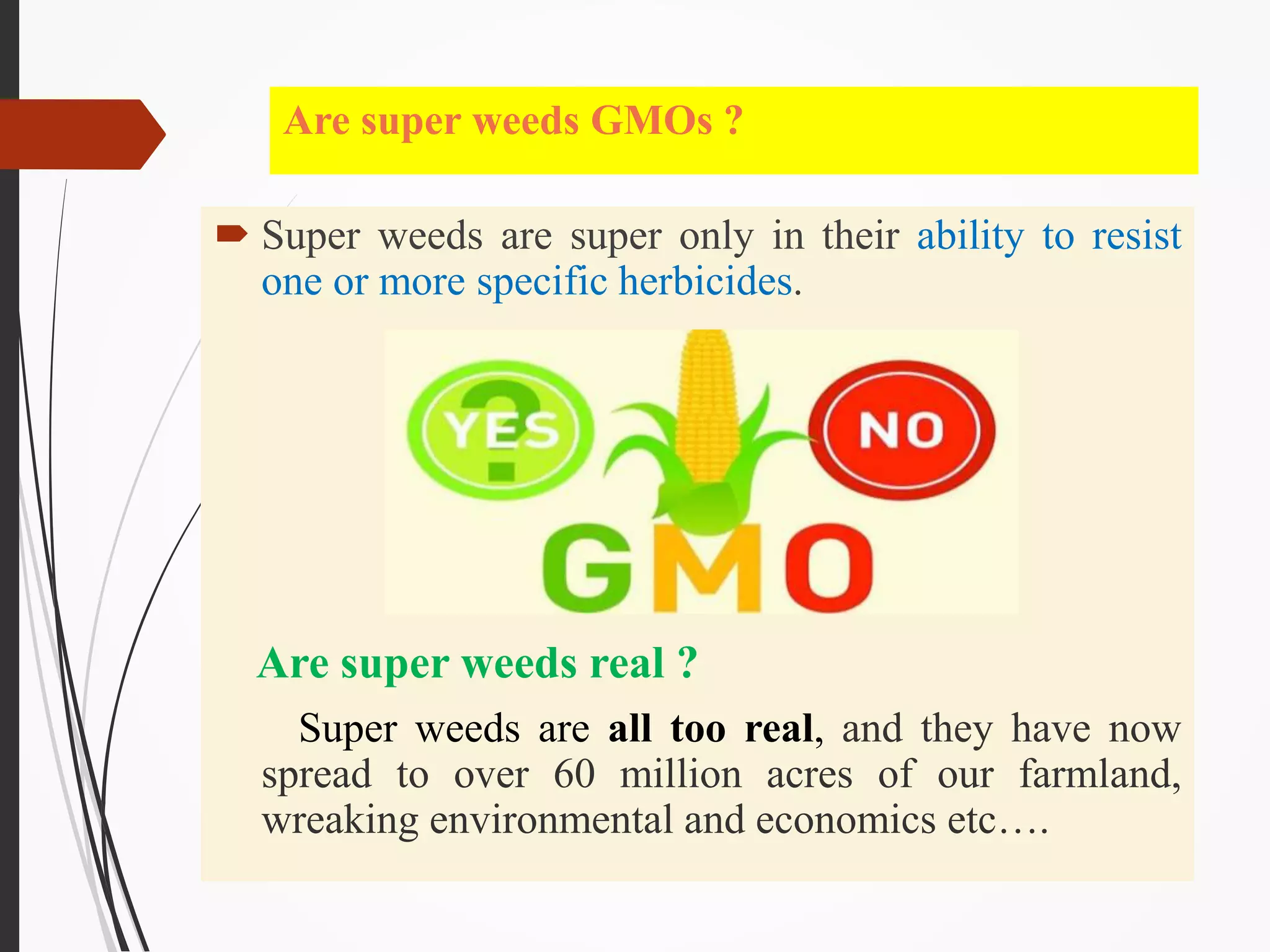 SUPER WEEDS POWER POINT PRESENTATION | PPTX