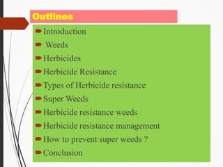 SUPER WEEDS POWER POINT PRESENTATION | PPTX