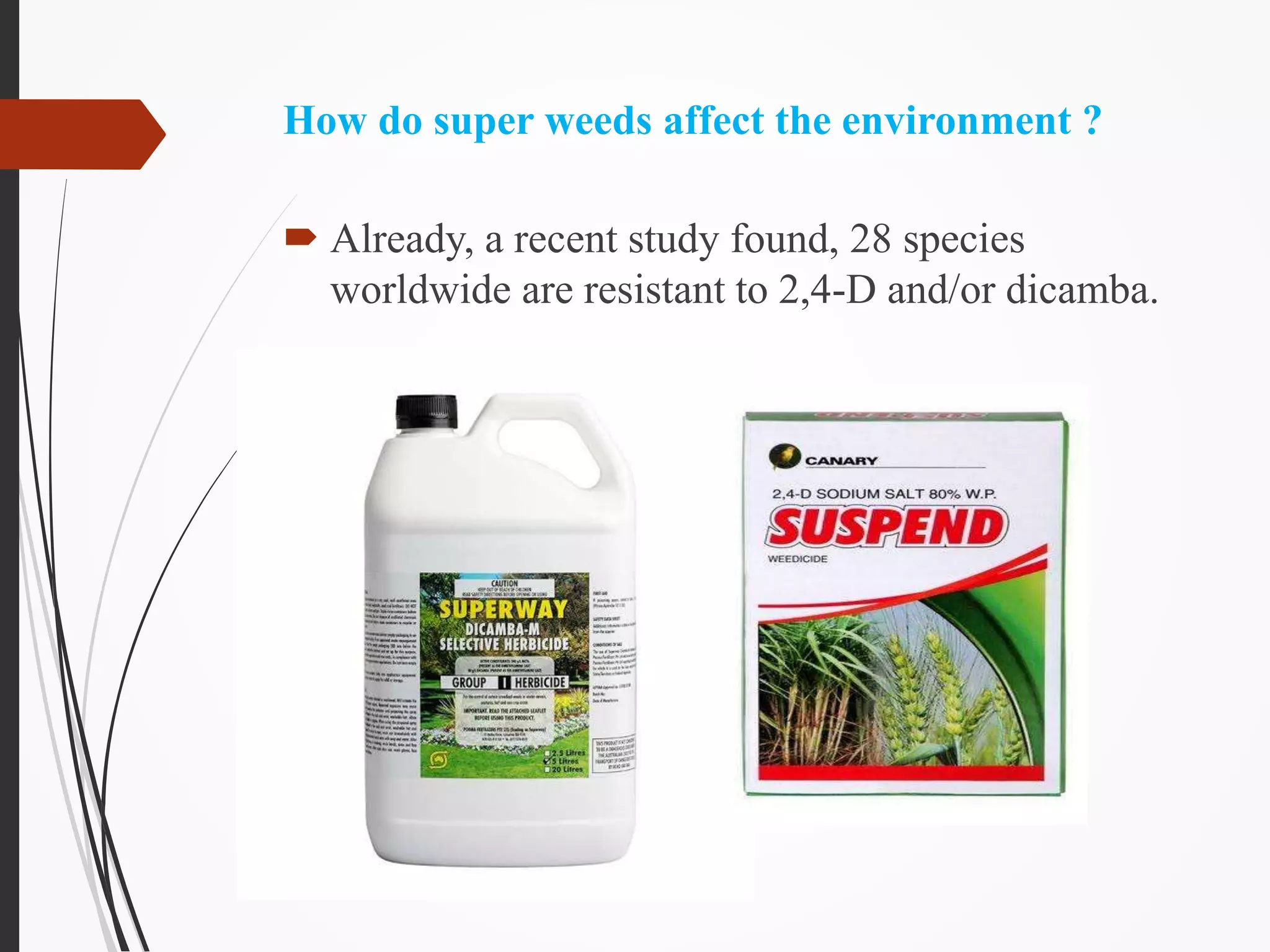 SUPER WEEDS POWER POINT PRESENTATION | PPTX