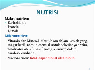 Suplementasi mikronutrien ibu hamil di indonesia | PPT