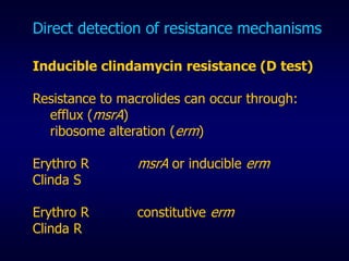 Suplementing Testing Methods in AMR .ppt