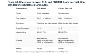 fungal sinusitis, clasificationt and pathogenesis | PPT