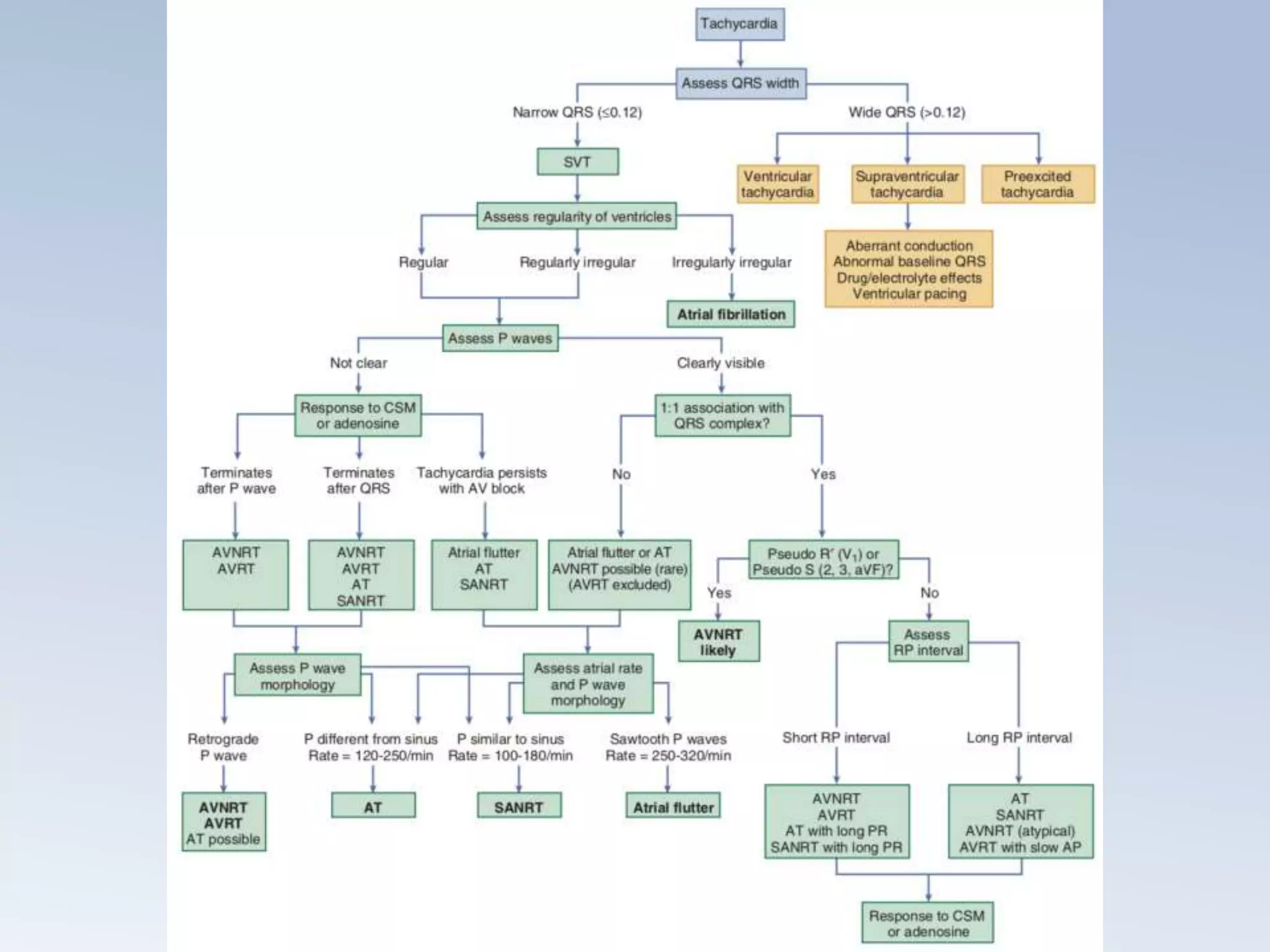 PRE EXCITATION SYNDROMES (THE WOLFF PARKINSON WHITE, LPL, MAHAIM) | PPTX