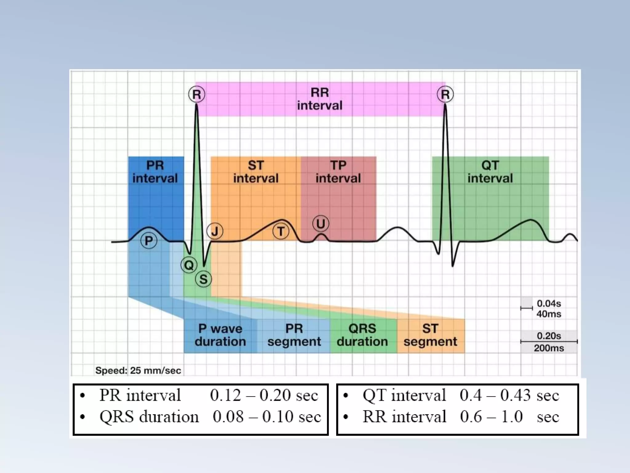 PRE EXCITATION SYNDROMES (THE WOLFF PARKINSON WHITE, LPL, MAHAIM) | PPTX