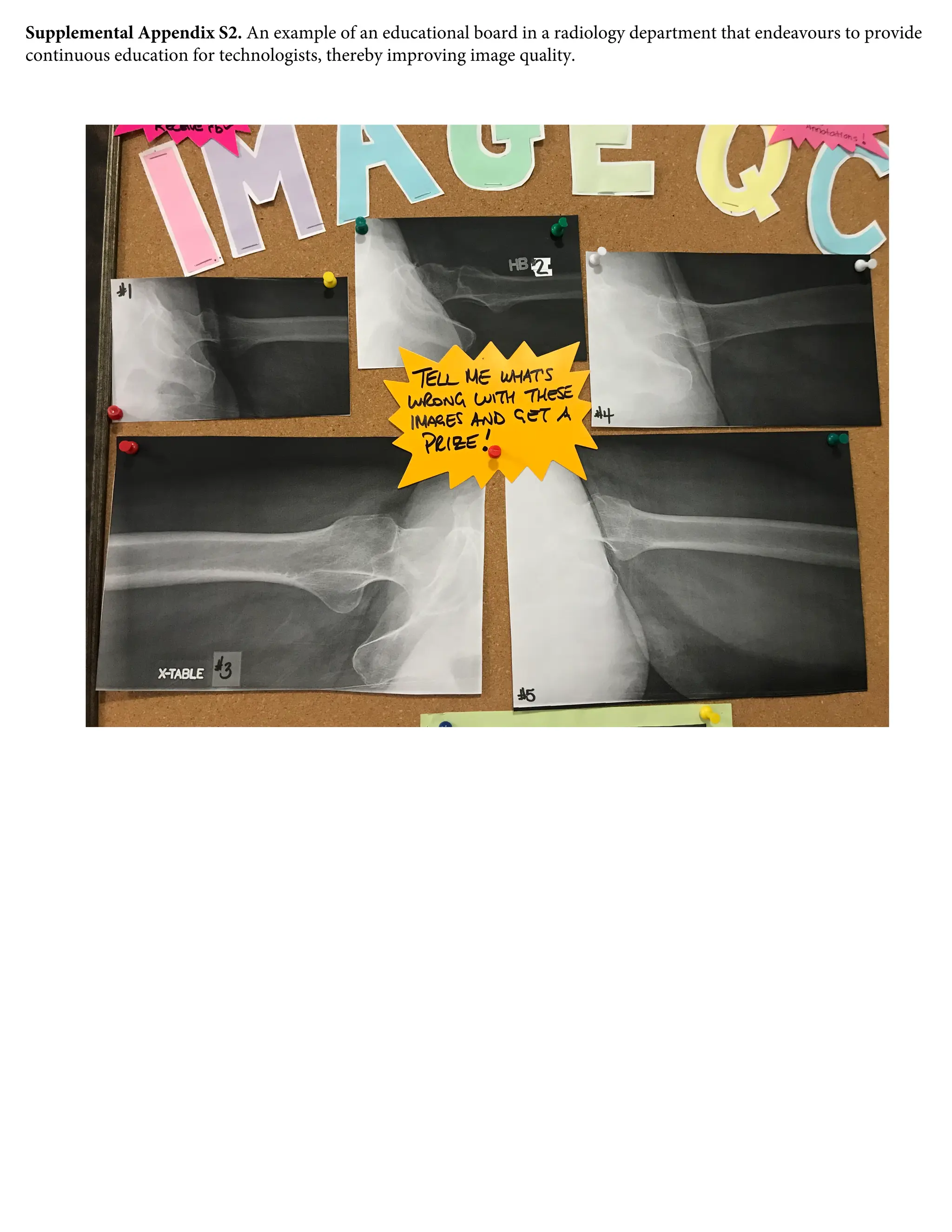 supplemental_appendix_s2.pdf