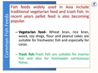 Supplementary-Fish-Feed | PDF