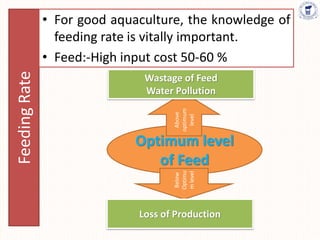 Supplementary-Fish-Feed | PDF
