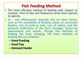 Supplementary-Fish-Feed | PDF
