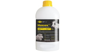 Supplement product by maxvet animal care malaysia | PDF