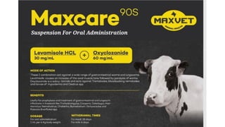 Supplement product by maxvet animal care malaysia | PDF