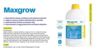 Supplement product by maxvet animal care malaysia | PDF