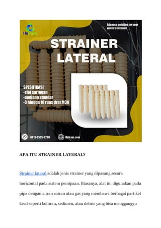 Supplier lateral strainer example | 0813–3535–3290 | PDF