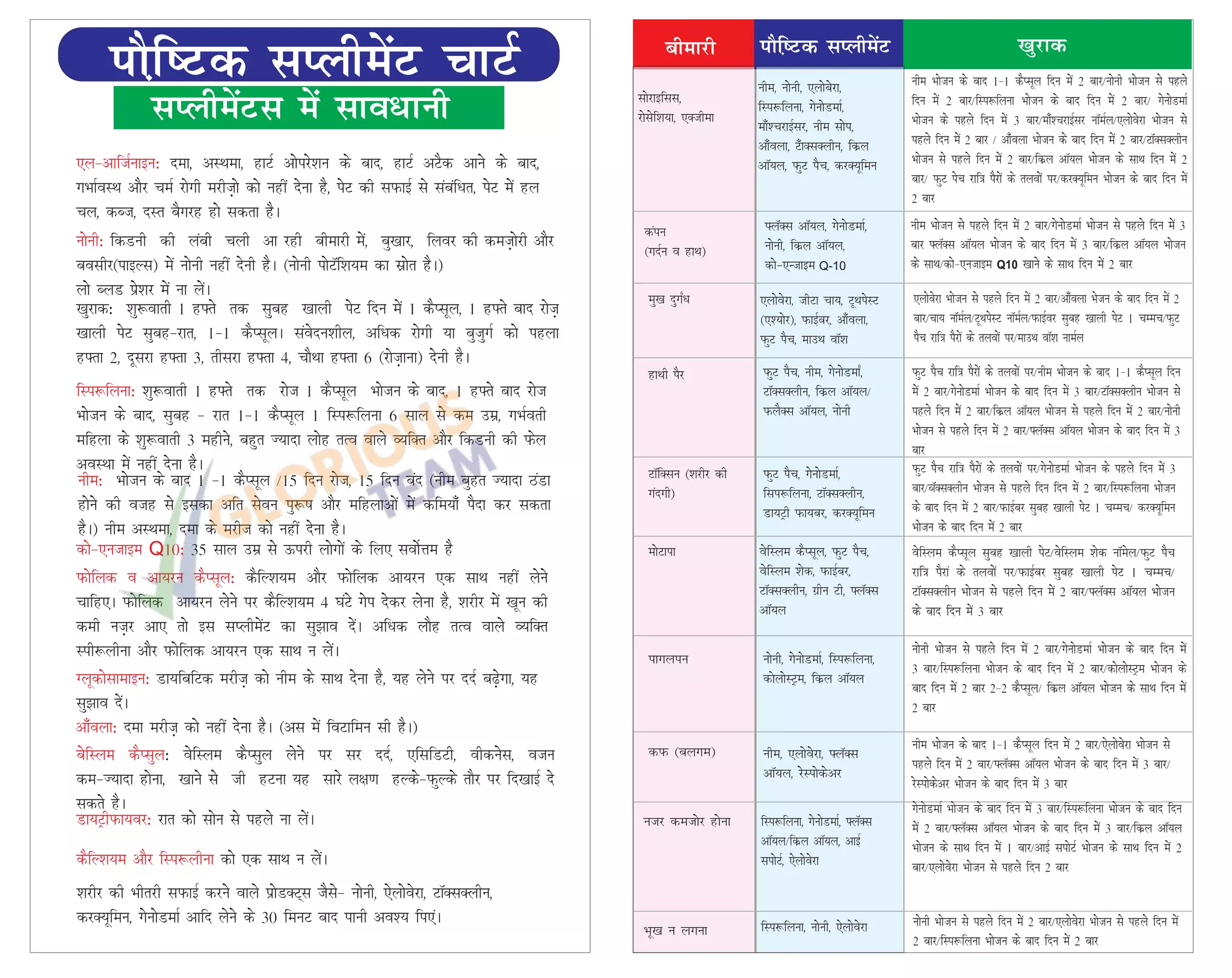 Vestige Suppliment chart | PDF