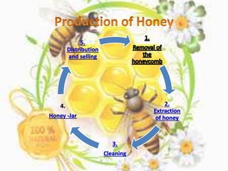 Supply chain honey production | PPTX