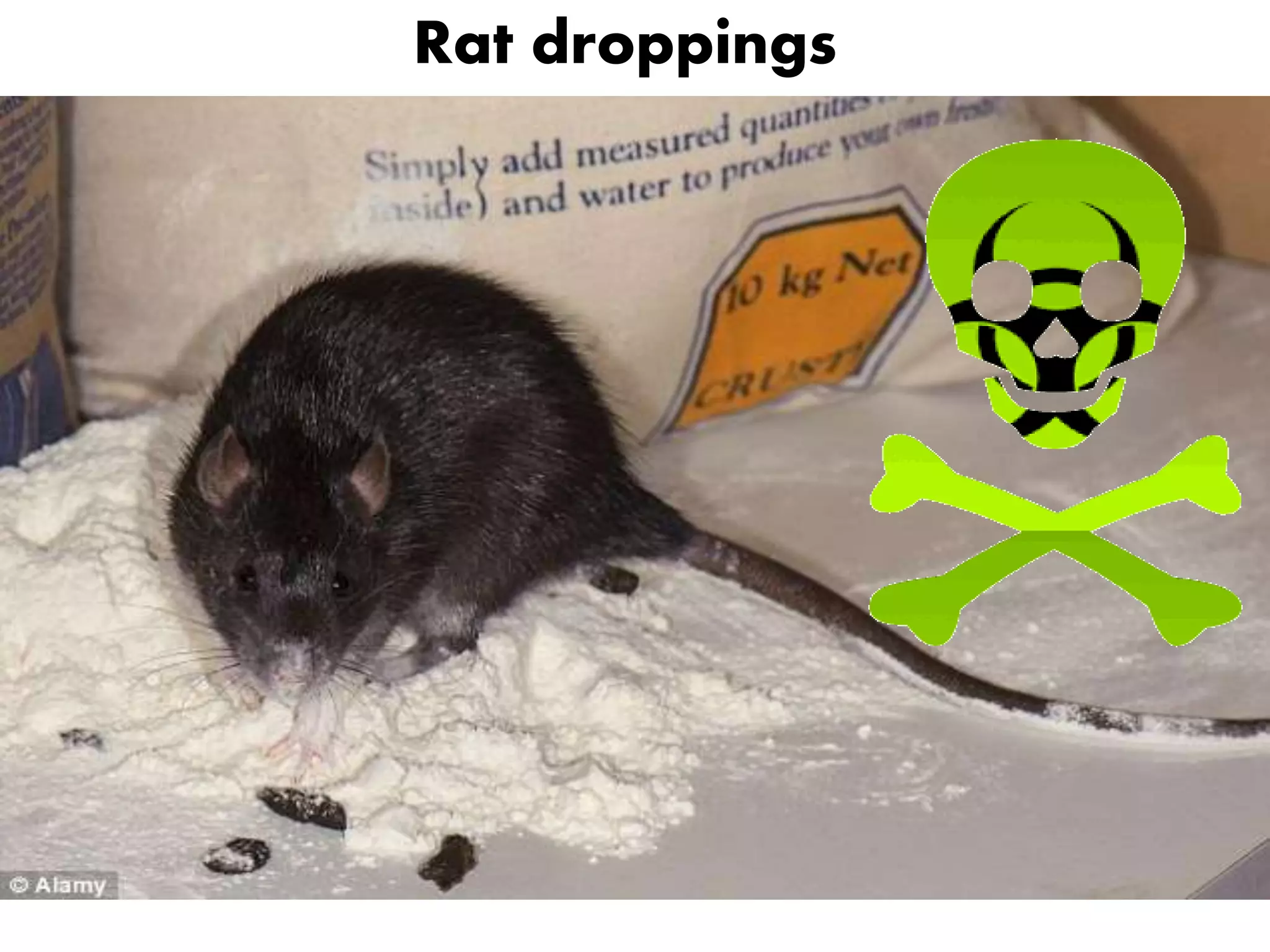 Supply chain management Process of PRAN-RFL | PPTX