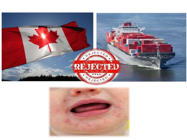 Supply chain management Process of PRAN-RFL | PPTX | Manufacturing ...