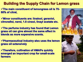 Supply chain of lemon grass | PPT