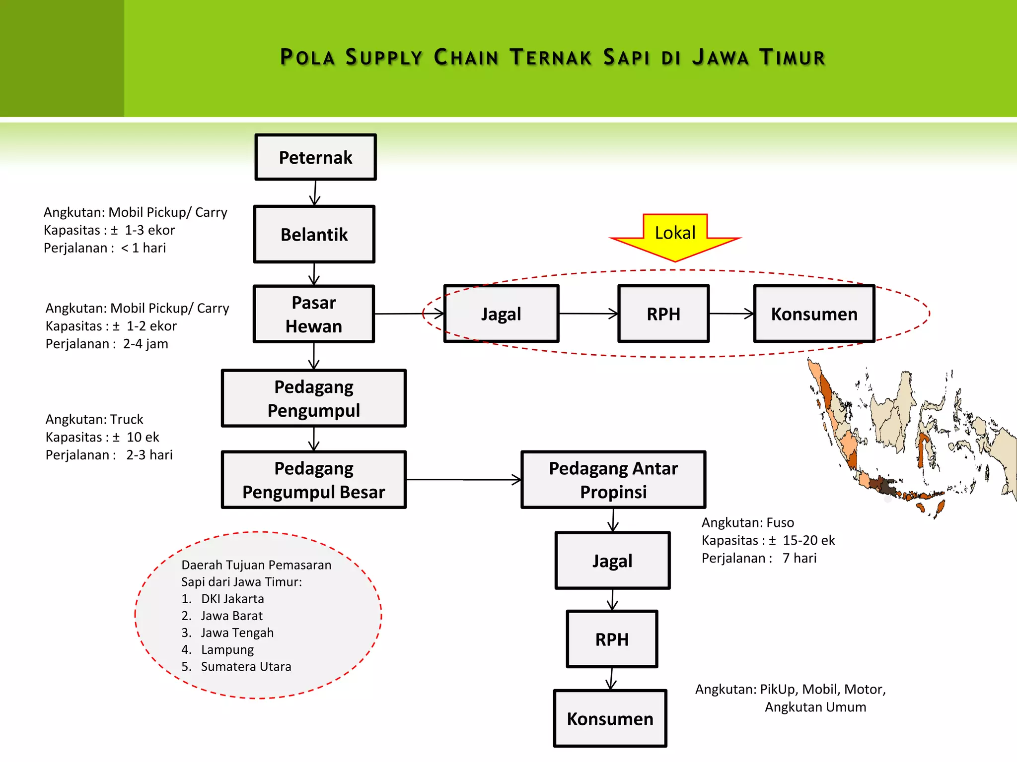 Supply chain ternak sapi di indonesia [fapet 22 mei 2013] | PDF