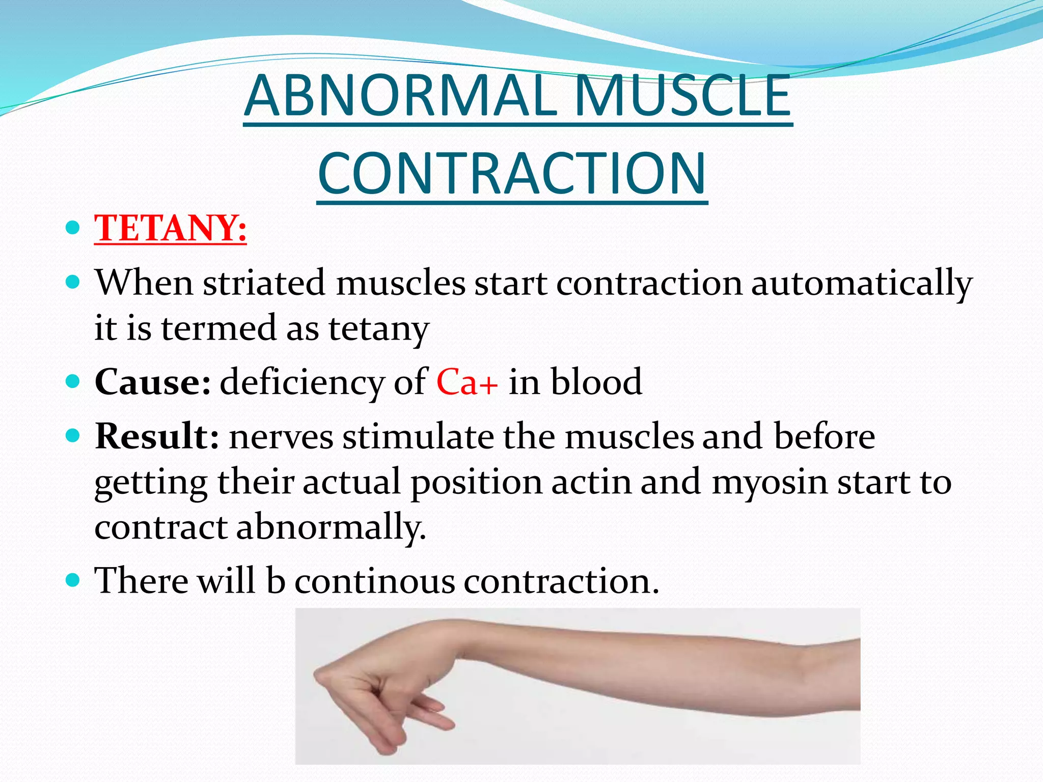 structure of skeletal muscle | PPTX