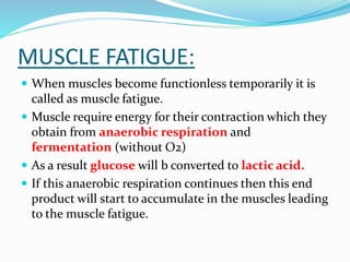 structure of skeletal muscle | PPTX