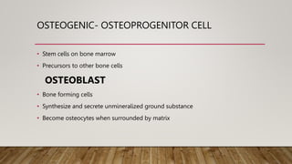 SUPPORT AND MOVEMENT.pptx part#1 | PPTX