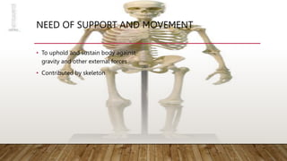 SUPPORT AND MOVEMENT.pptx part#1 | PPTX